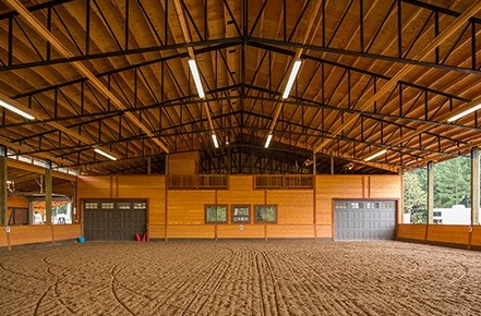 Arena Complex | Stable Connections